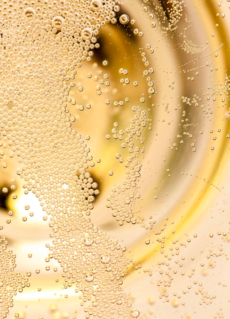 Contact – Pernelle